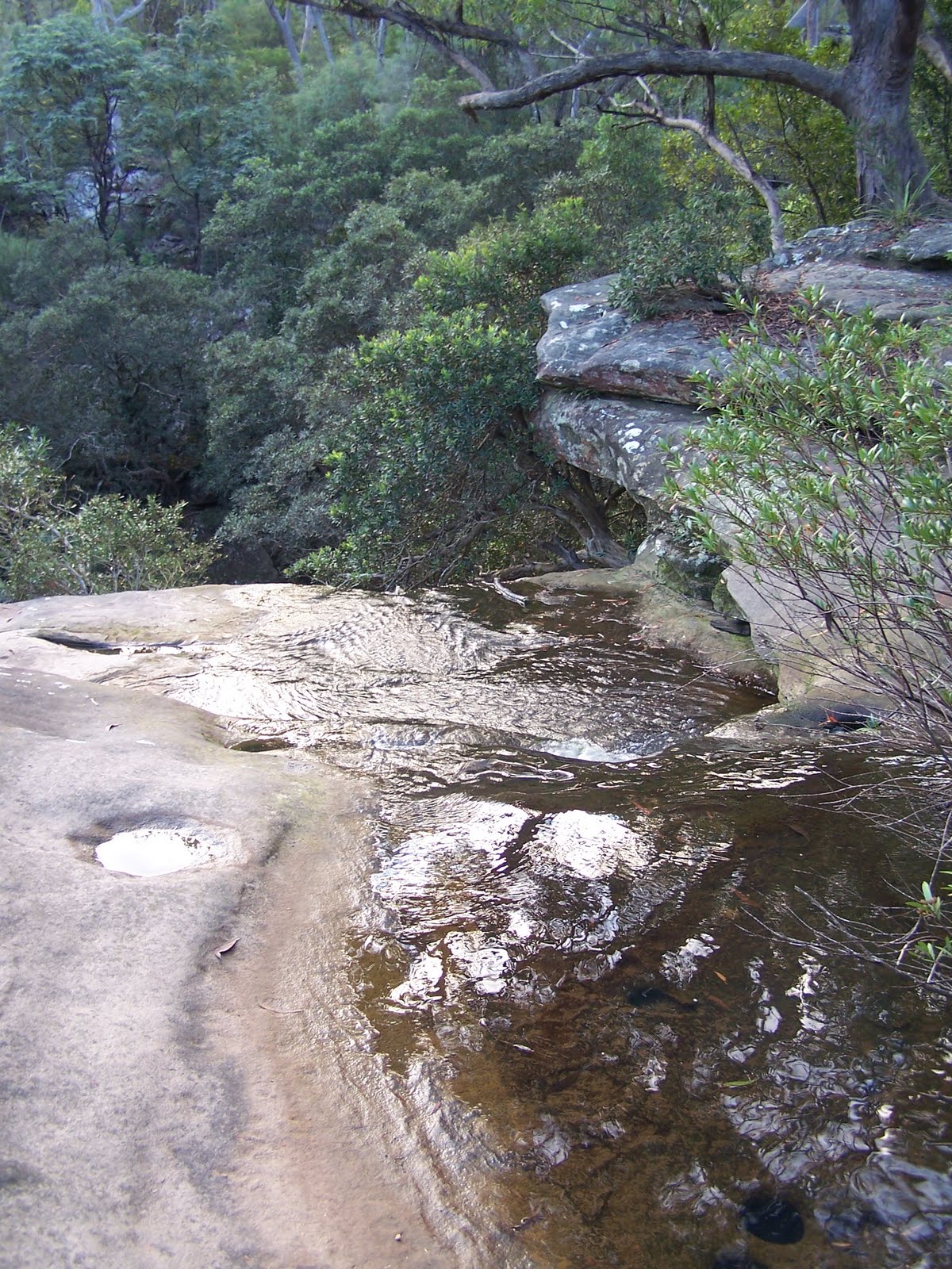 Greenie's gone bush: Girrakool - Piles Creek Loop