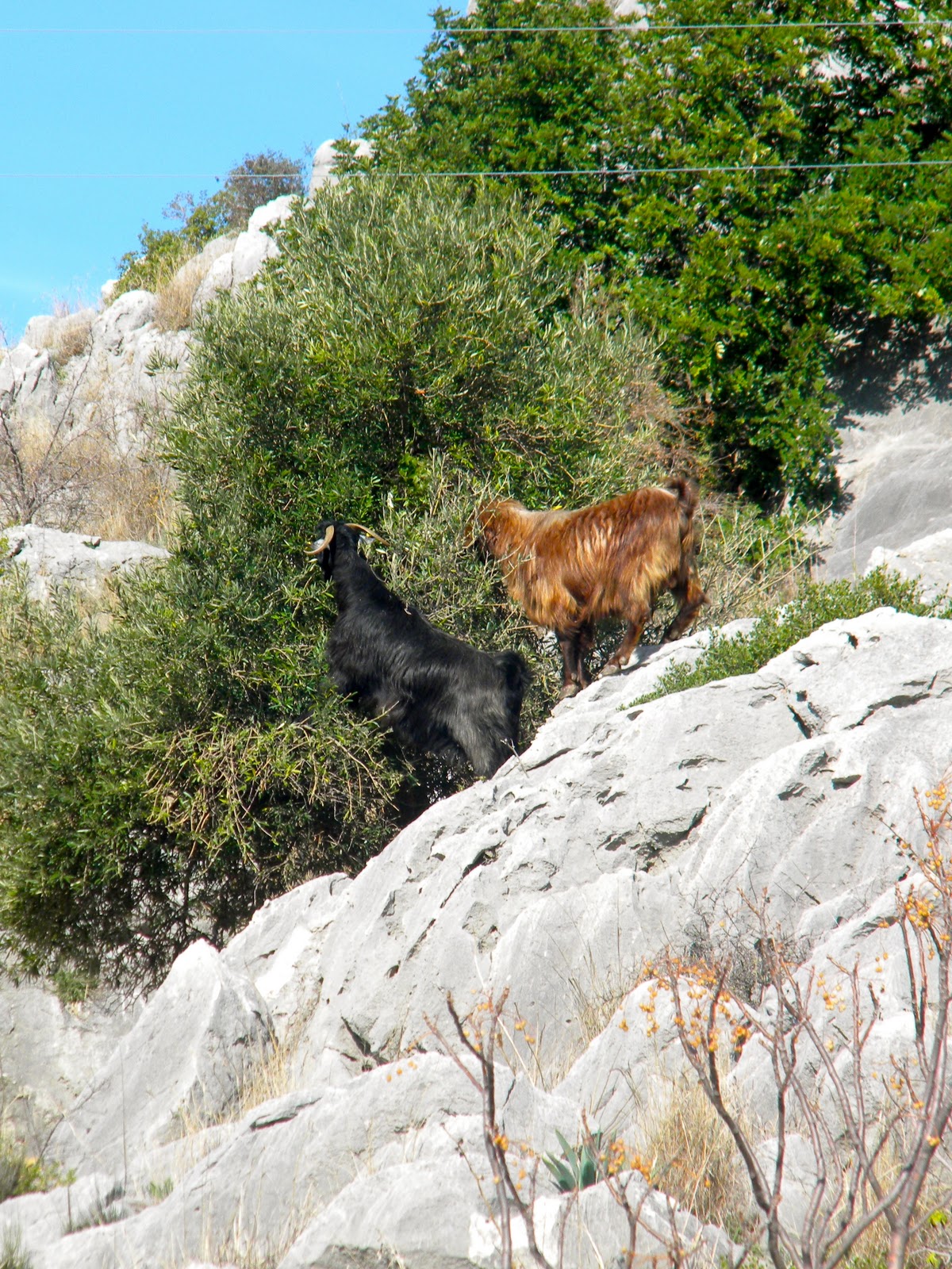 Jorge's Grand Adventures: Yilankale, aka Snake Castle