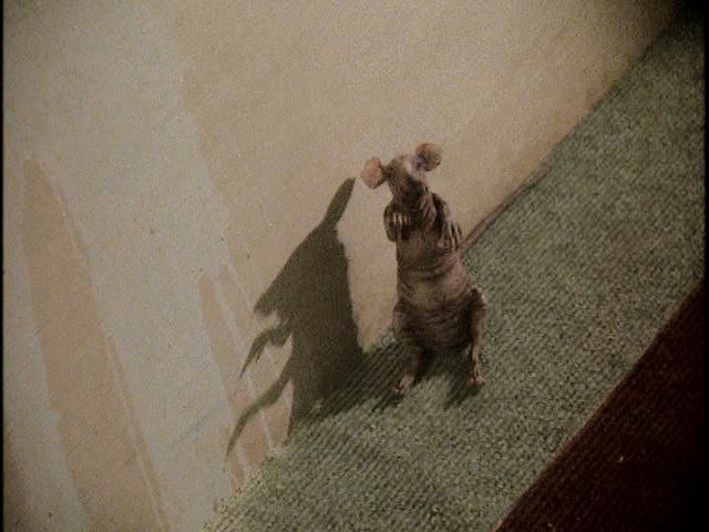 Family-Friendly Halloween Movie Countdown: Movie #8: The Witches (1990)