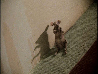 Family-Friendly Halloween Movie Countdown: Movie #8: The Witches (1990)