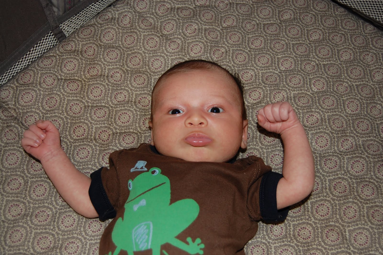 The Adventures of Baby Newman: Tummy Time!