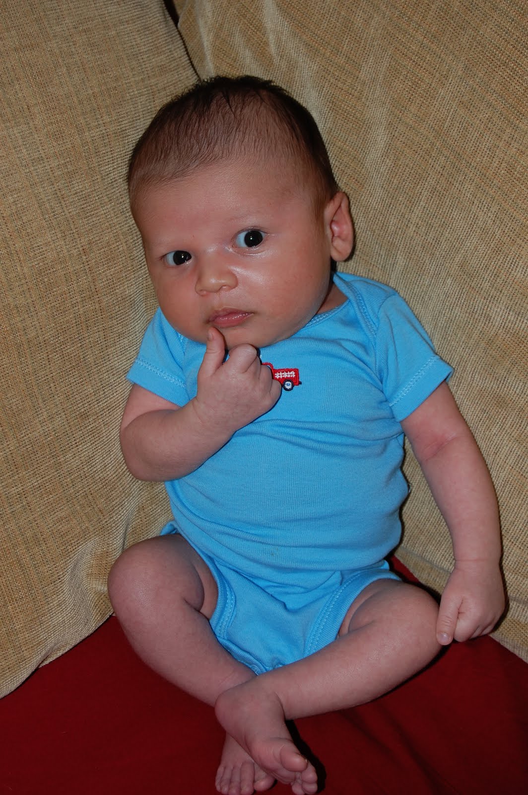 The Adventures of Baby Newman: I'm 4 Weeks Old!!!