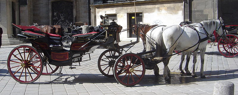 Vintage Visions: The Carriage