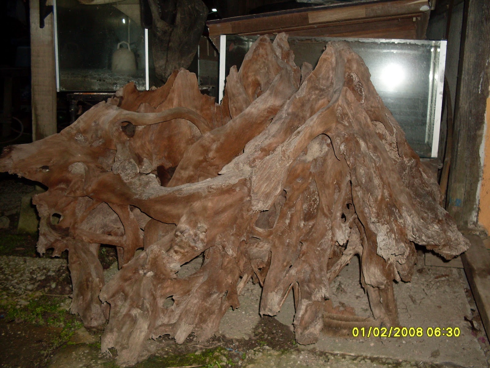 Warisan Kandai Enterprise: arca kayu untuk hiasan laman/ arca bonsai