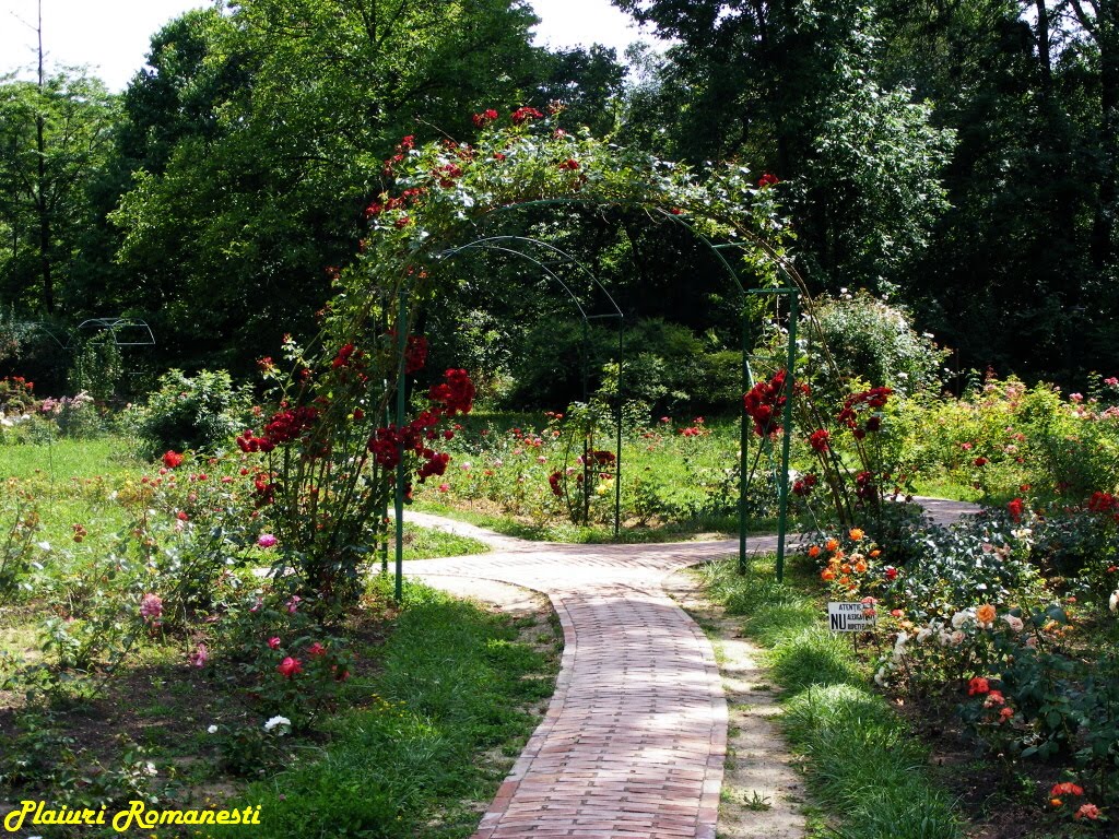 Plaiuri romanesti: Gradina Botanica din Bucuresti