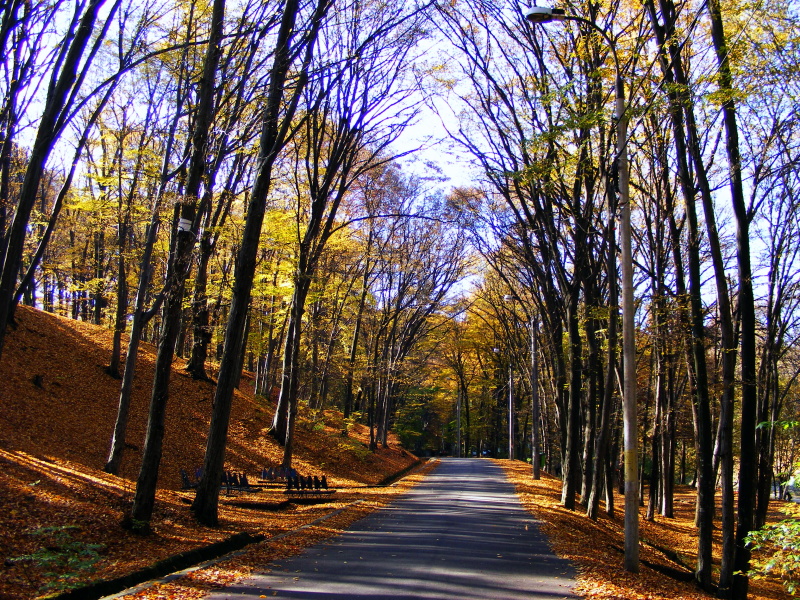 Plaiuri romanesti: Parcul Trivale din Pitesti