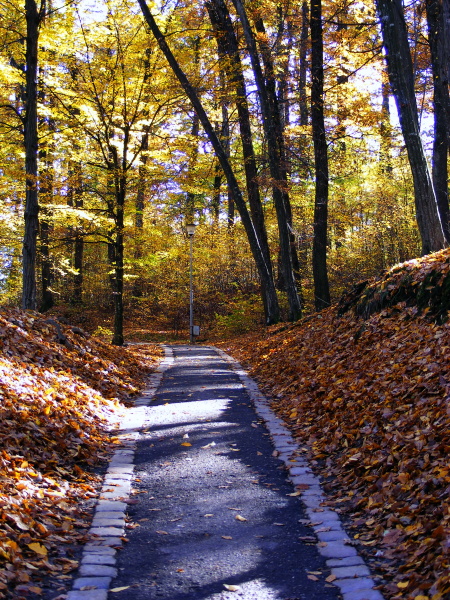 Plaiuri romanesti: Parcul Trivale din Pitesti
