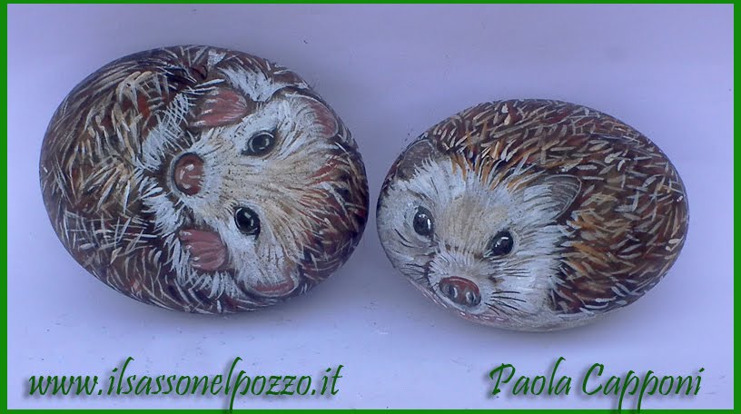 Il sasso nel Pozzo blog: Sassi dipinti: ricci e gattino