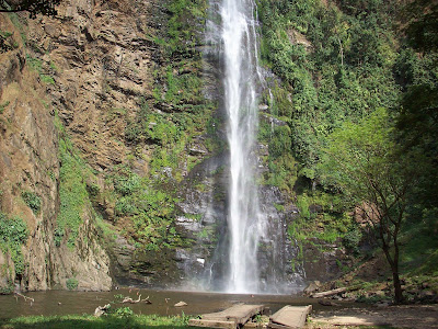 AKWAABA!!! Adventures in Ghana: Pineapple farm, Wli Waterfall, Togo