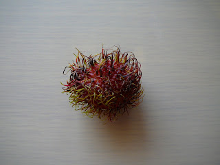 Waiting For Junie - Our Trip To China: This Is Your Brain On Leeche