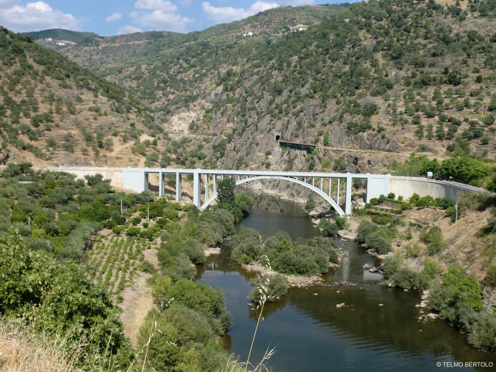 Partilha do Saber: Ajude a salvar o Vale e a Linha do Tua!