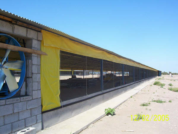 HERRERIA VALENTINI: GALPONES PARA POLLOS