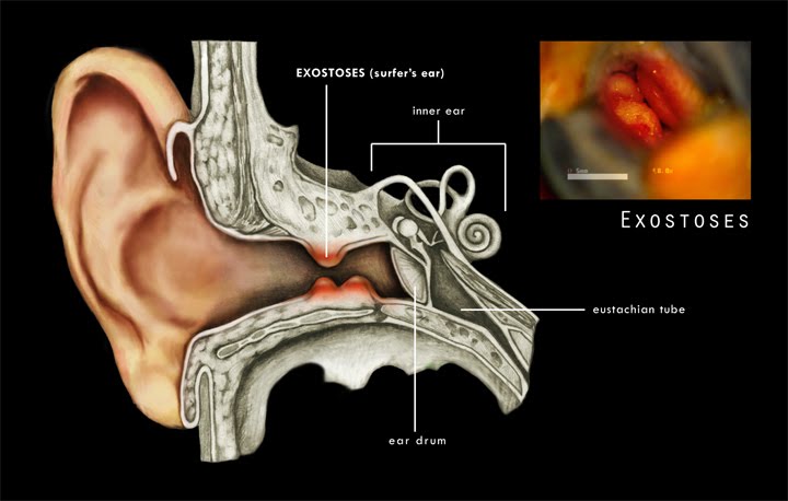 INK-DWELL: WHY NOT JUST USE A PHOTOGRAPH?