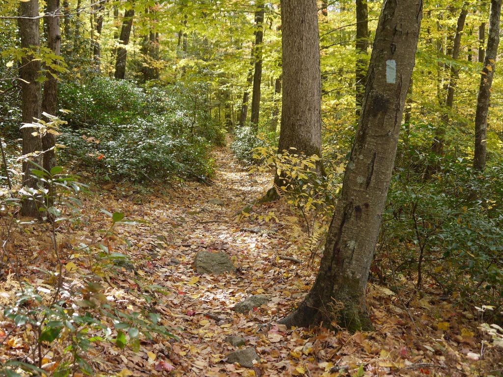 In the Field: Salmon River Trail, Colchester