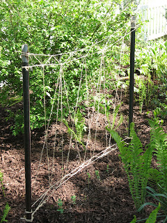 Greenbow: Foliage and Follies