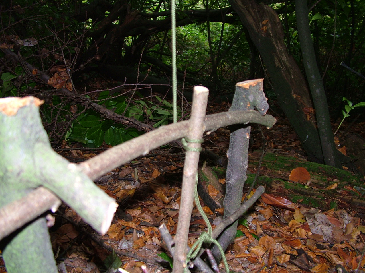 Belfast Bushcraft Blog: Platform trap.