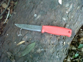 Belfast Bushcraft Blog: Mora Viking