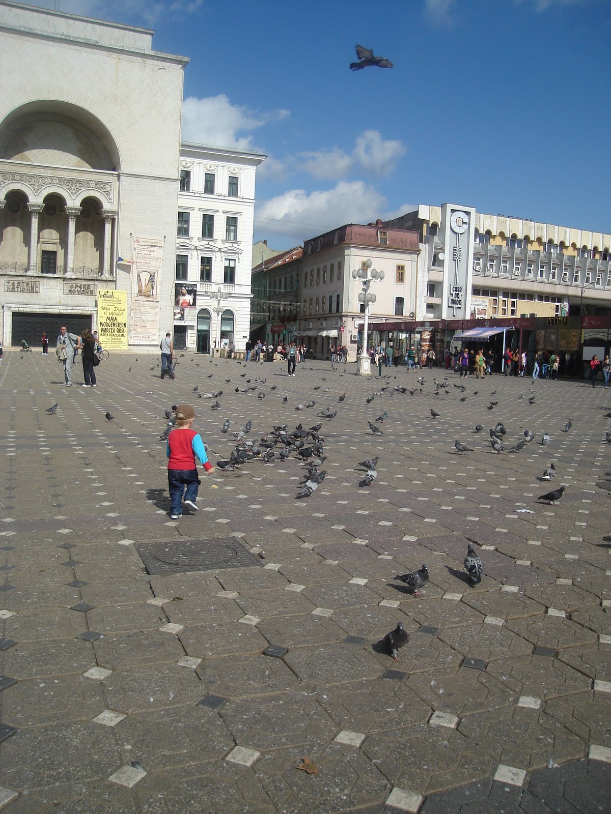 Pe masa din bucatarie: Timisoara, dupa 20 de ani