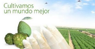 COMERCIO INTERNACIONAL: GREEN PERU