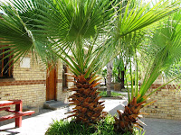 Africamps: Kang Ultra-stop Accommodation: Trans Kalahari Highway ...