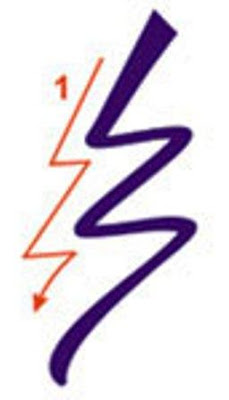 REIKI NIVEL IV: O RAKU