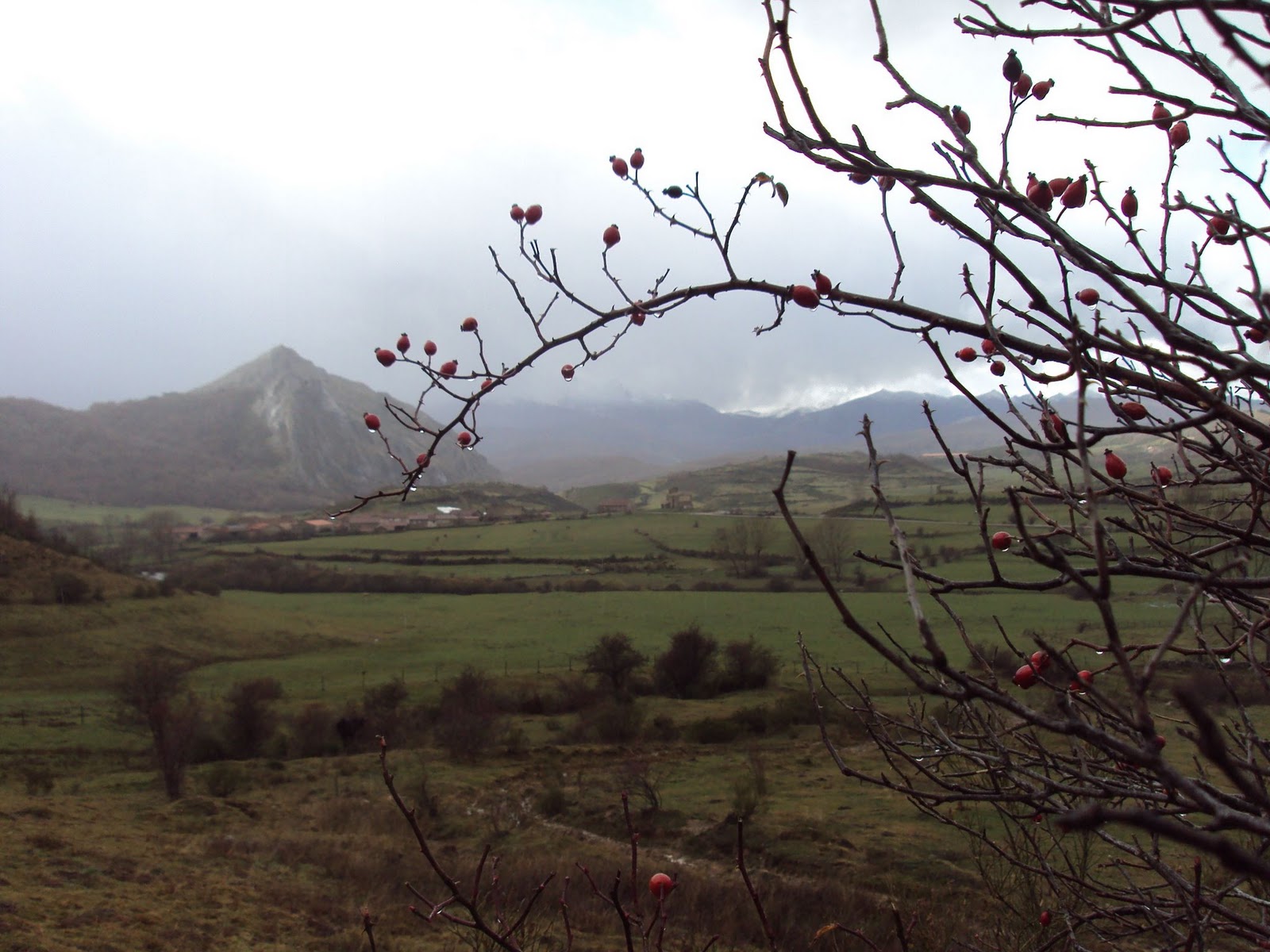 La lechuza: Peña Tremaya