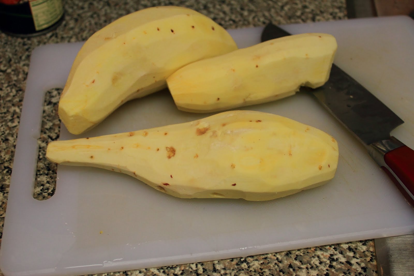 Hungry Students Food and Travels: Japanese Yam and Nagaimo Soup (山芋山药汤)