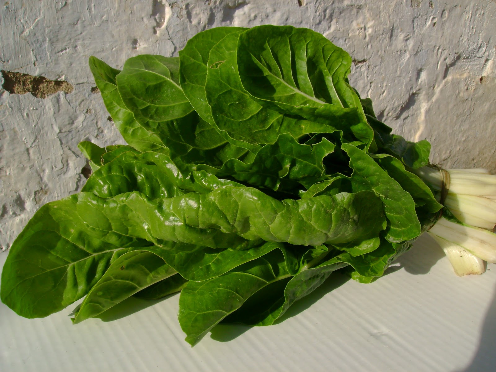 El Bancalet: VERDURES DE TARDOR-HIVERN: LA REMOLATXA I LA BLEDA