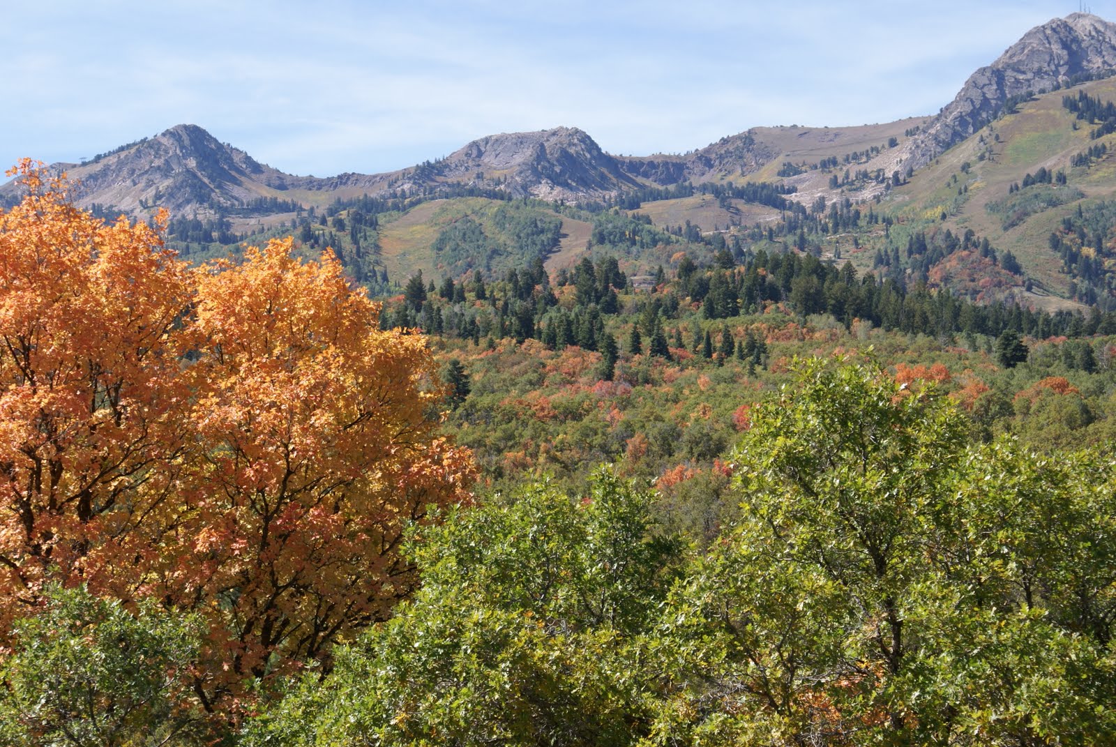Utah Fall Color Watch: Fall Photo Seekers