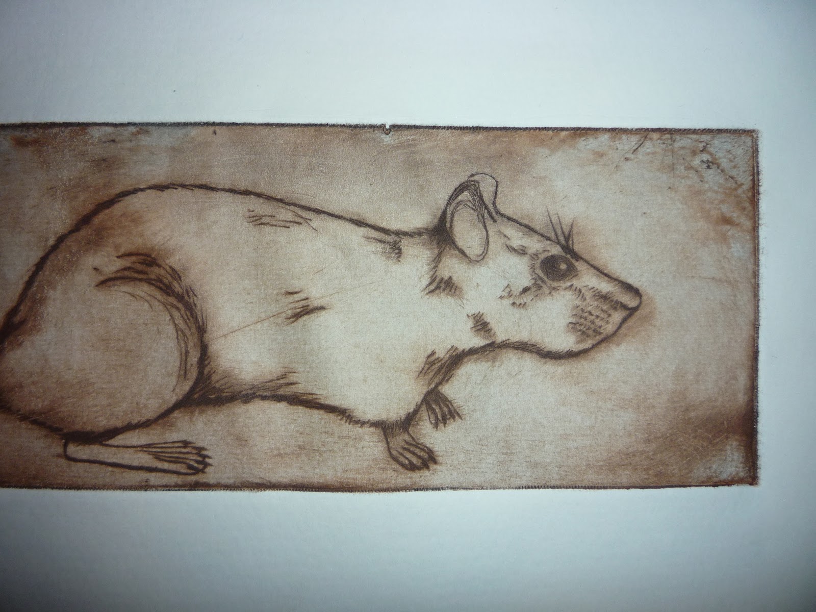 fun with animals: drypoint with aluminium