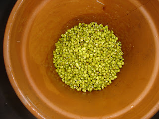 A Singaporean Uncle in Australia: Recording the home birth of a bean ...