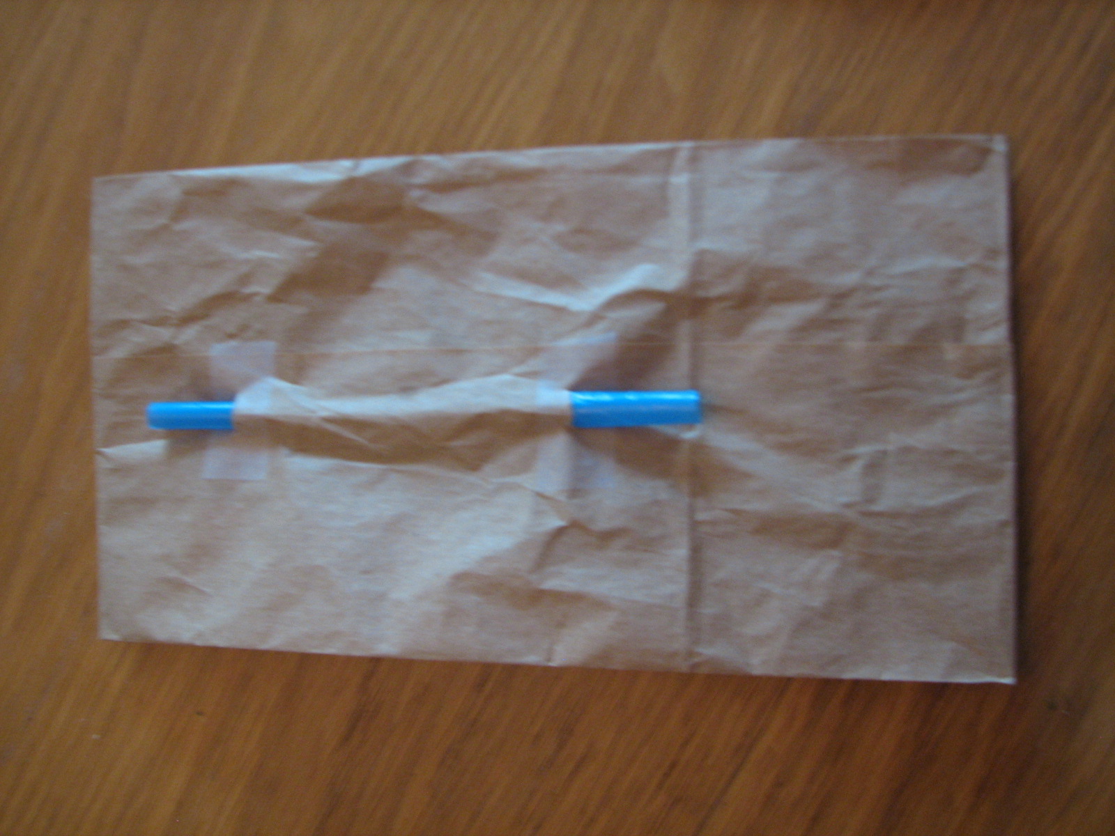 Science Matters: Animals: Paper Bag Animals