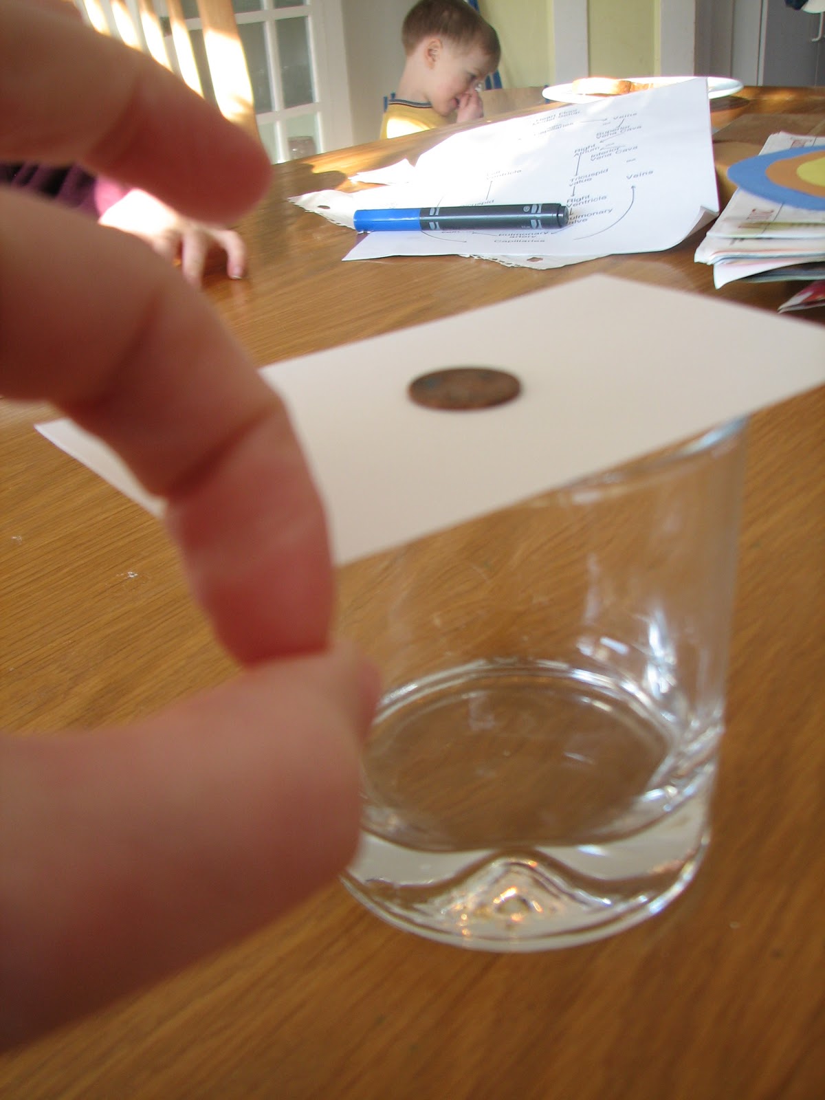 Science Matters: Inertia: Penny In a Cup