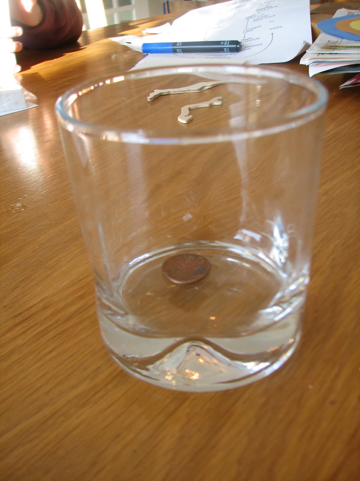 Science Matters: Inertia: Penny In a Cup