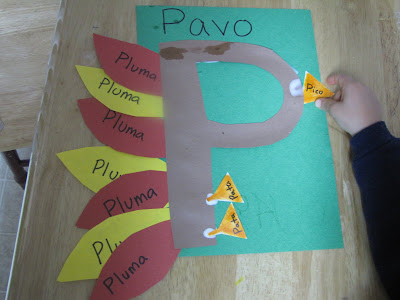 My Bilingual Boys: P de Pavo