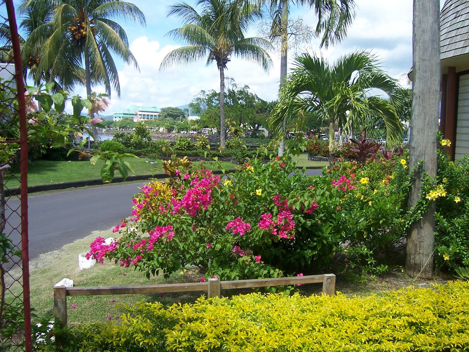Lightning Fall: Apia, Samoa