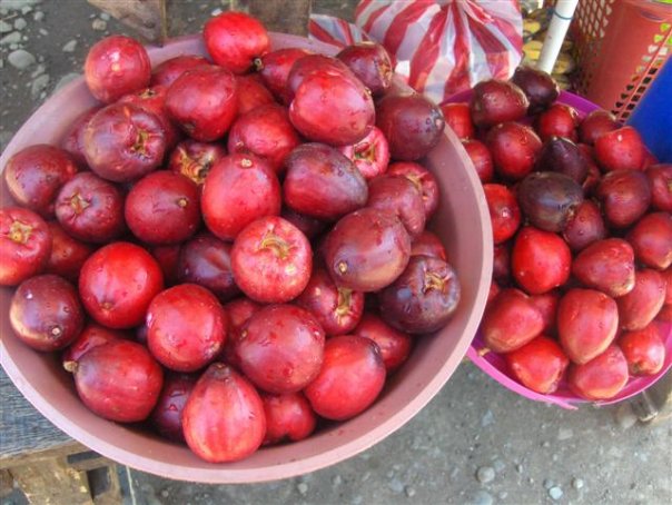 @my tabletop: Ruby Red Tuesday and Rednesday: Macopa