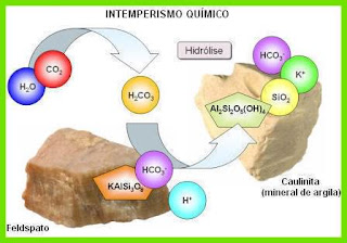 Da Biologia á Geologia: Formação das Rochas Sedimentares