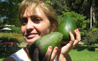 En Busca de la Belleza: receta casera de palta para la cara