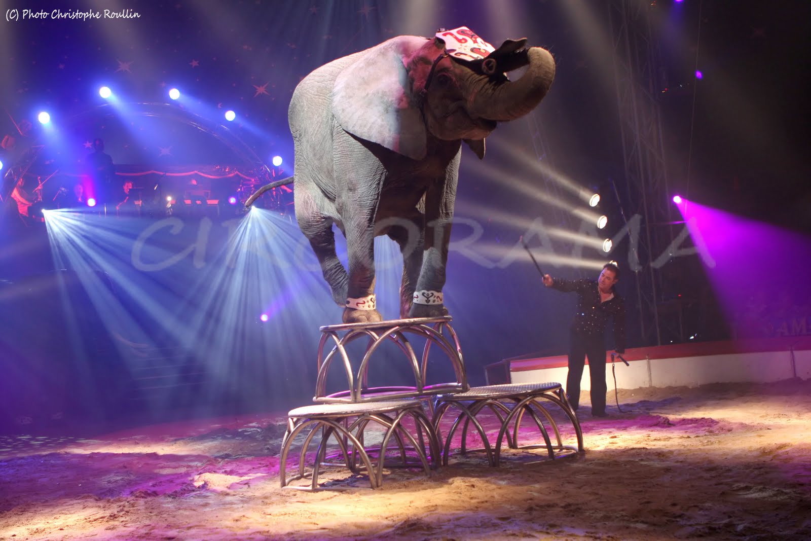 CIRCORAMA PART 1: AMAR, LE TRES BEAU CIRQUE DE FRANCE. 1/5