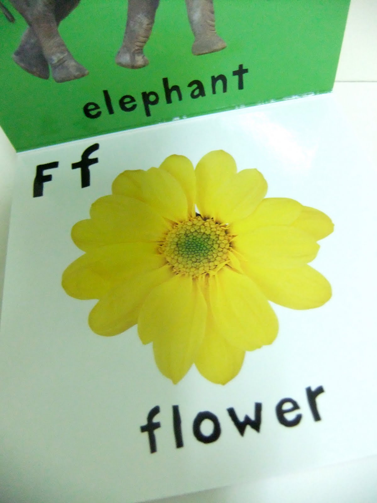 Online Children's Book Shop LITTLE RED READING NOOK: Bright Baby ABC ...