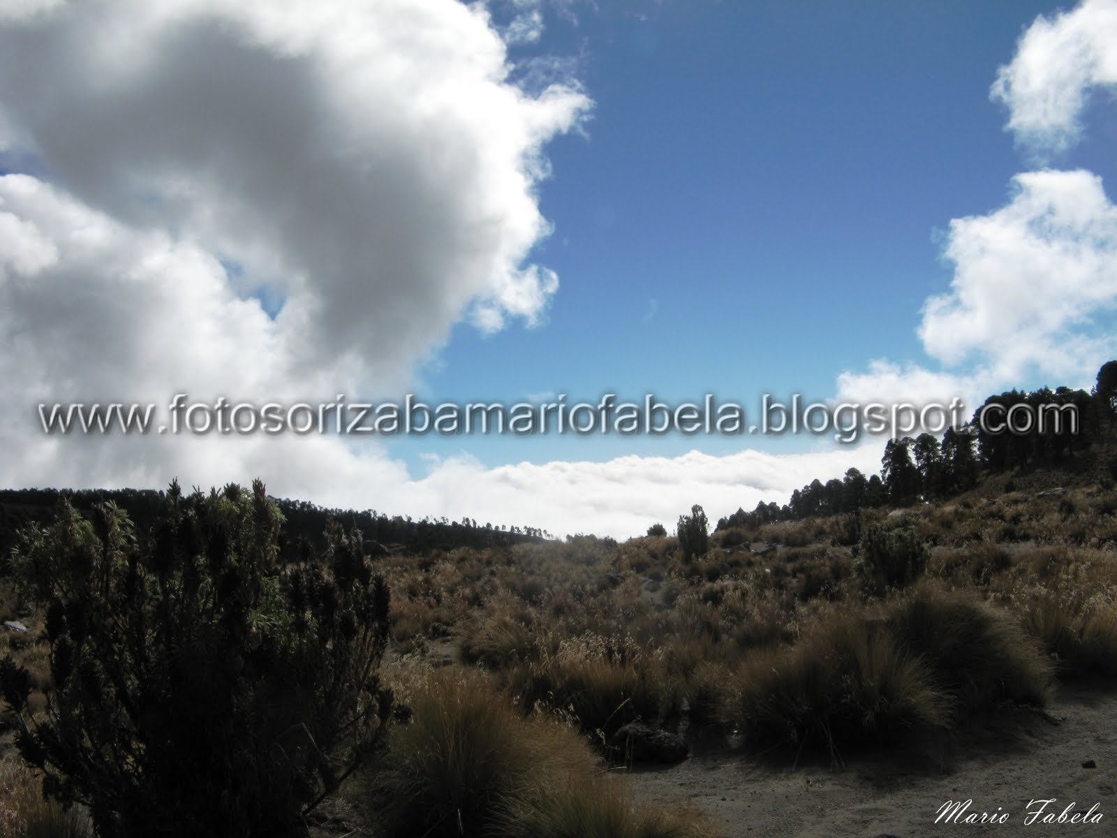 GALERIA FOTOGRAFICA DE ORIZABA,VERACRUZ, MEXICO.: PICO DE ORIZABA