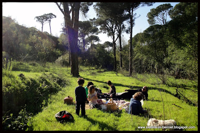 .: Consummation Day Picnic