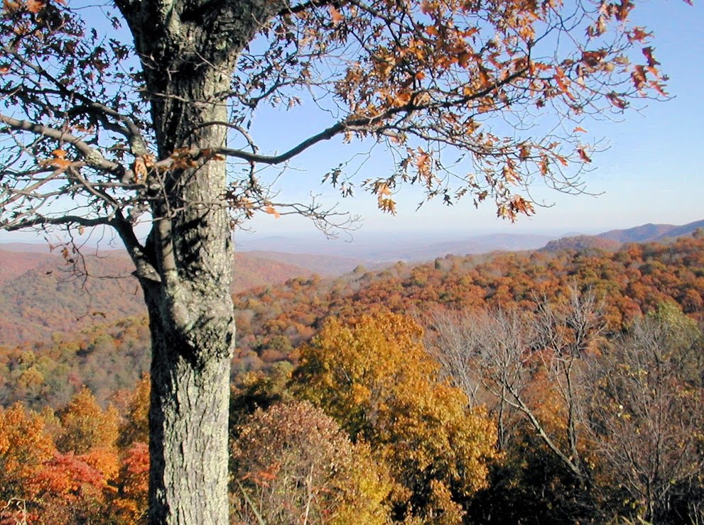 Poze cu peisaje de toamna - Wallpapere de toamna - Coolpedia