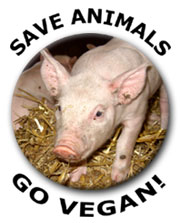 Save Animals: Animals Life - Please Save