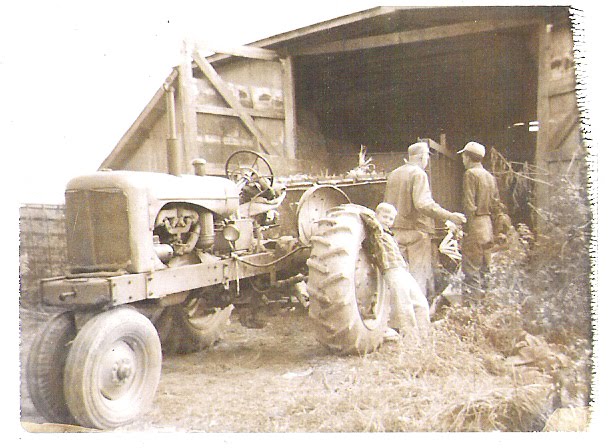 STORIES FROM THE N.C. MOUNTAINS: CHICKEN FARMING IN THE 60'S