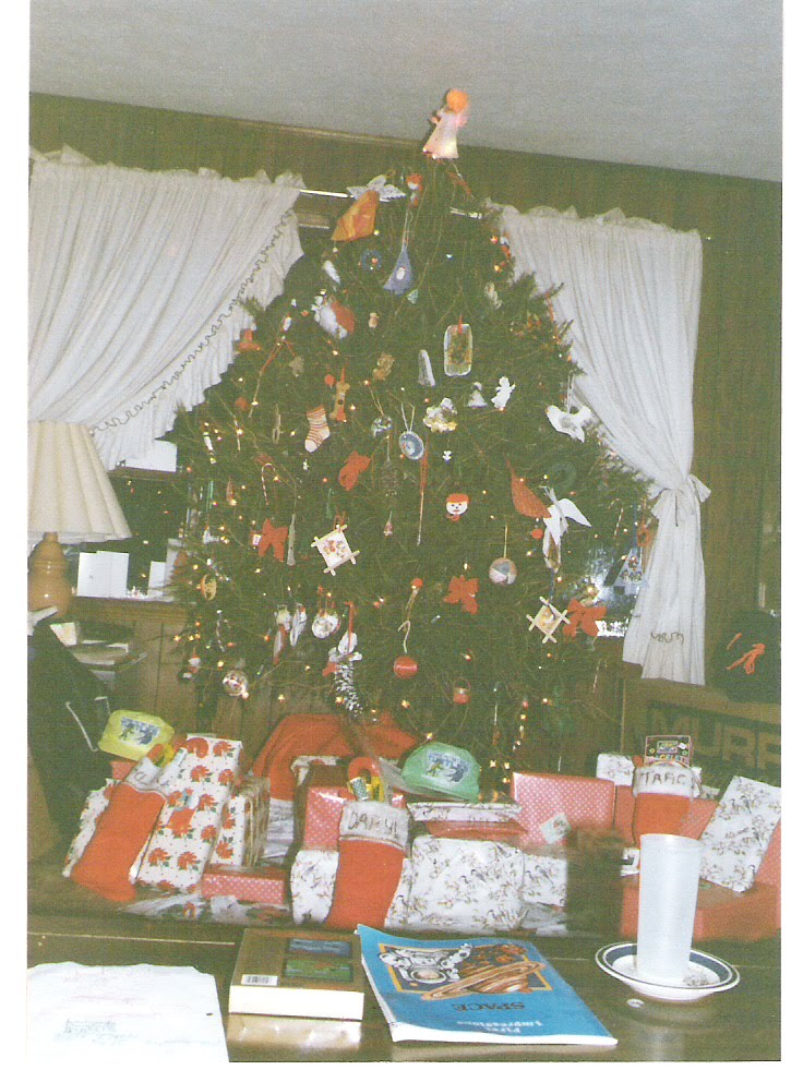 STORIES FROM THE N.C. MOUNTAINS: MEMORIES FROM 1990'S