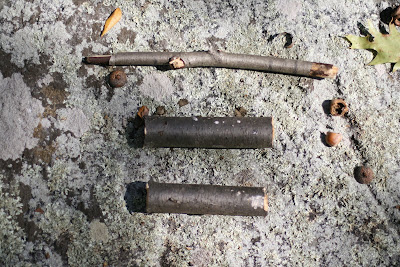 Wood Trekker: Split Stick Deadfall Trap