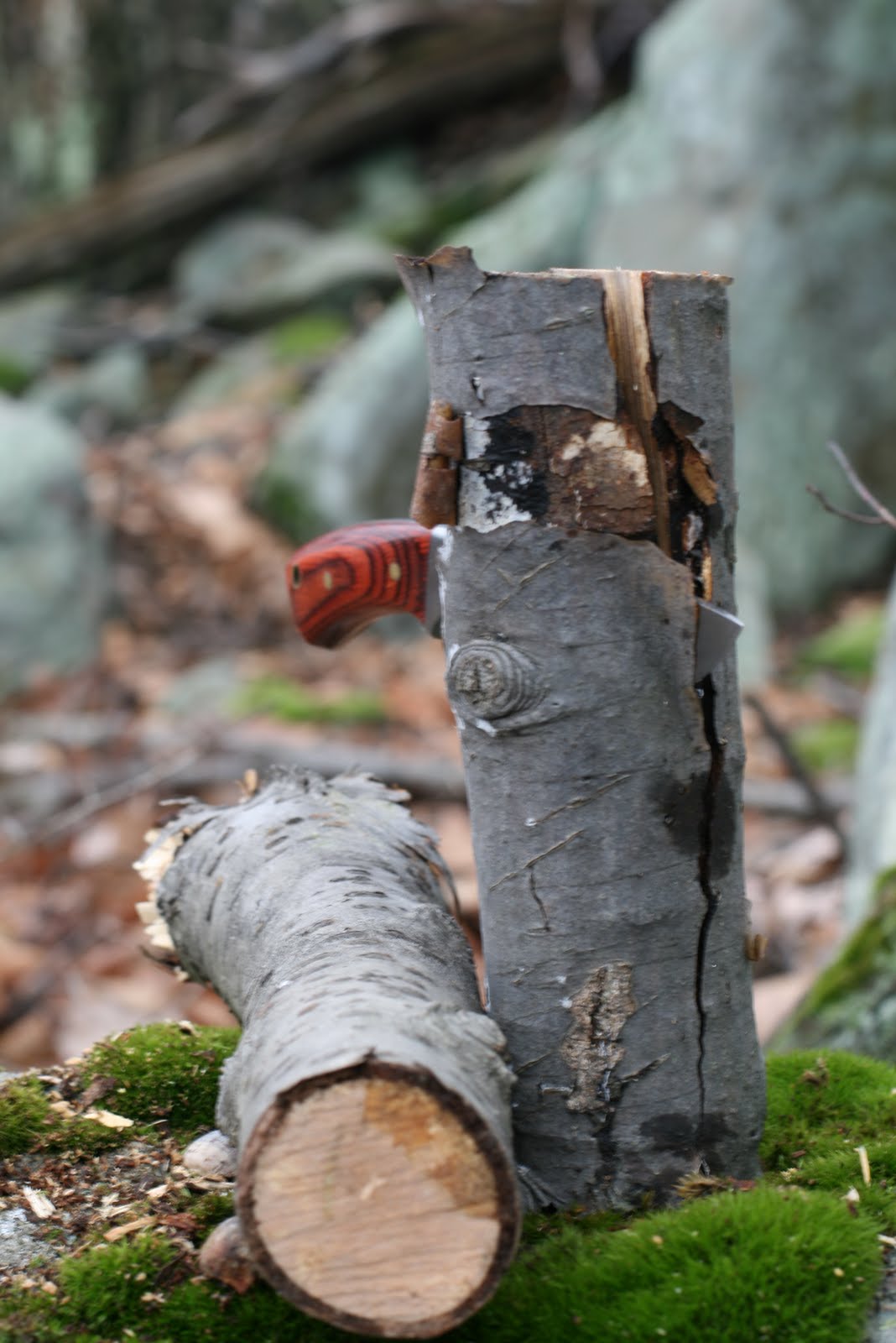 Wood Trekker: Winchester Wood Hunter G-1340 Review