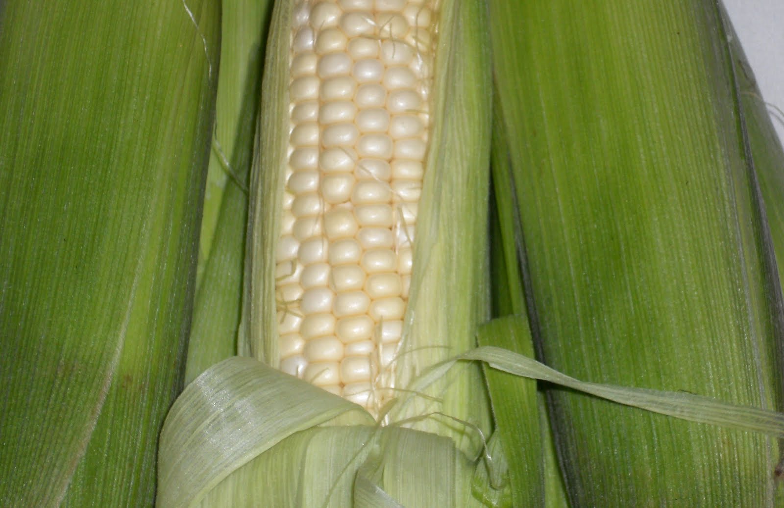 HowChow: Fresh Corn From Family Affair in Catonsville